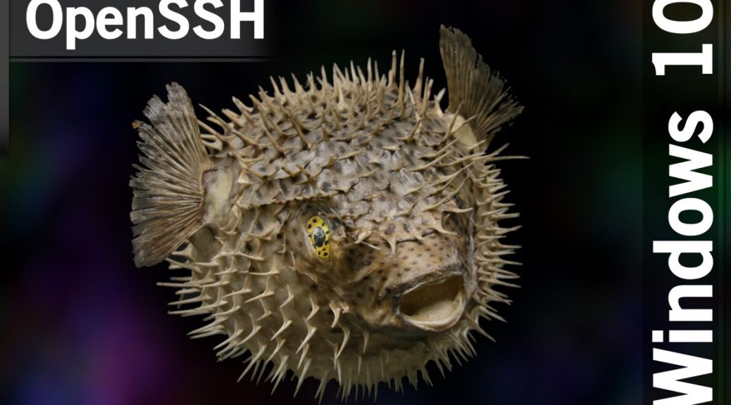 Install OpenSSH On Windows 10 Using PowerShell Jcutrer